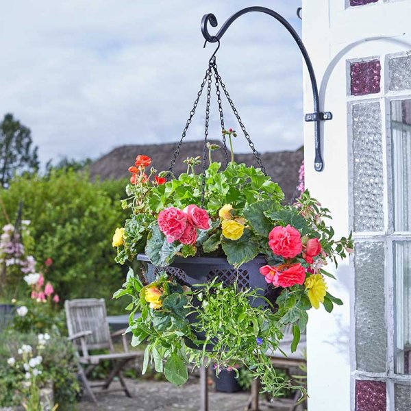 15in FlowerPro Hanging Basket – Coletta & Tyson Garden Centre