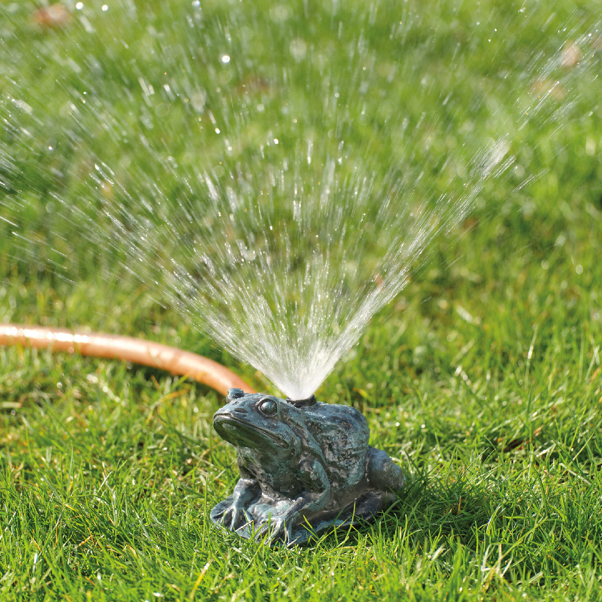 Decorative Frog Sprinkler – Coletta & Tyson Garden Centre