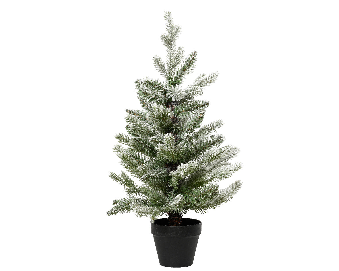 Allison Snowy Mini Tree-90cm – Coletta & Tyson Garden Centre