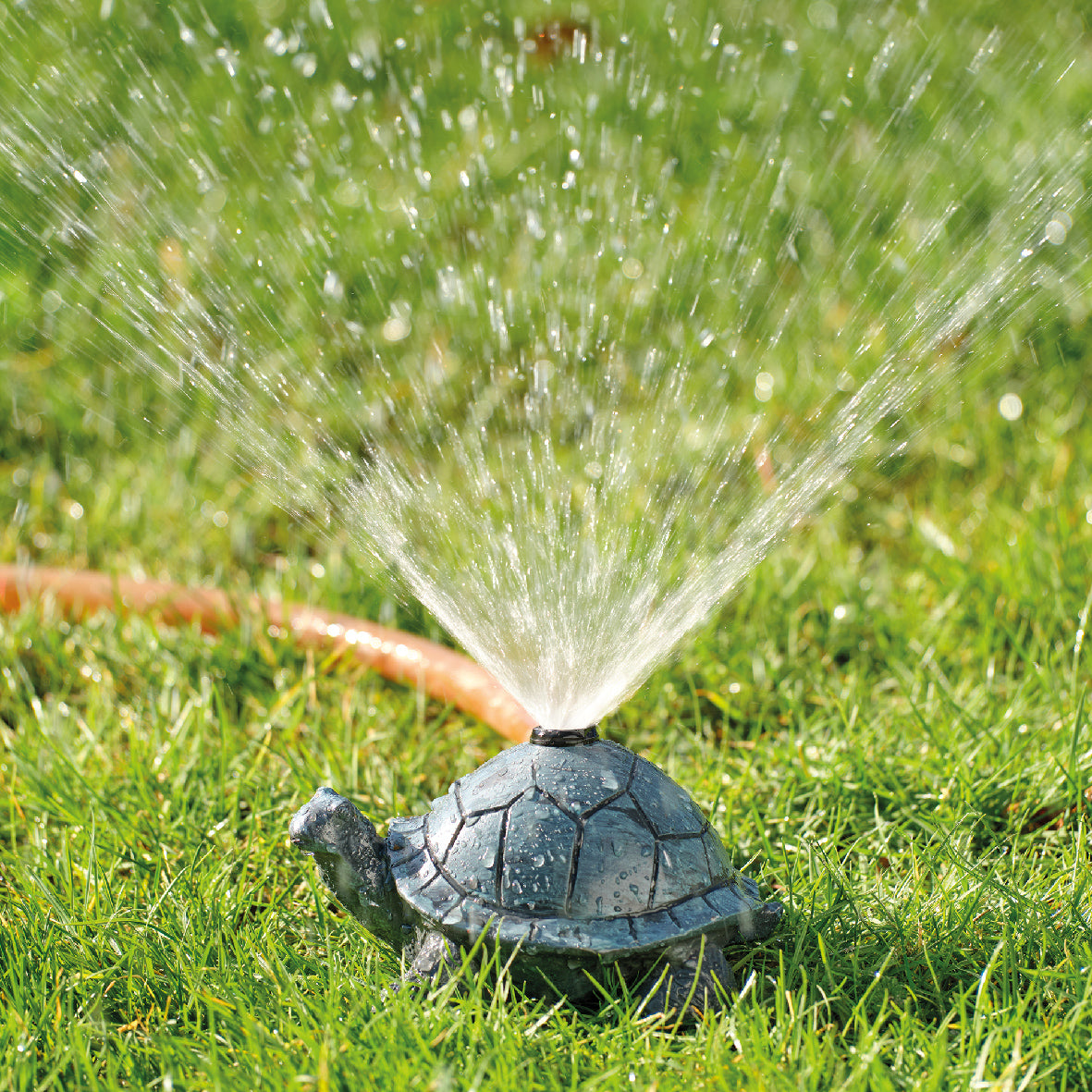 Decorative Turtle Sprinkler – Coletta & Tyson Garden Centre