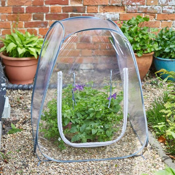 Pop-Up GroZone- Large – Coletta & Tyson Garden Centre