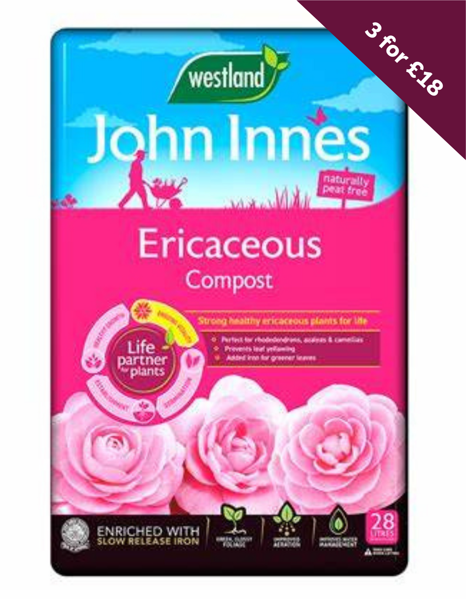 Westland John Innes Peat Free Ericaceous Compost 28Ltr – Coletta ...