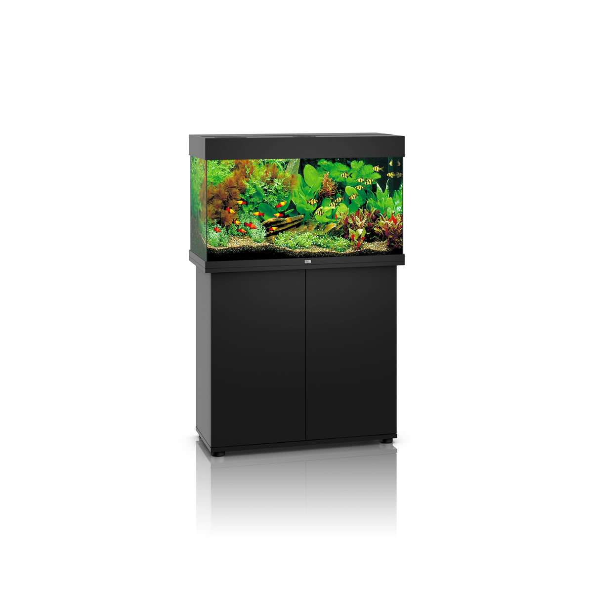 SBX Rio 125 Cabinet in Black – Coletta & Tyson Garden Centre
